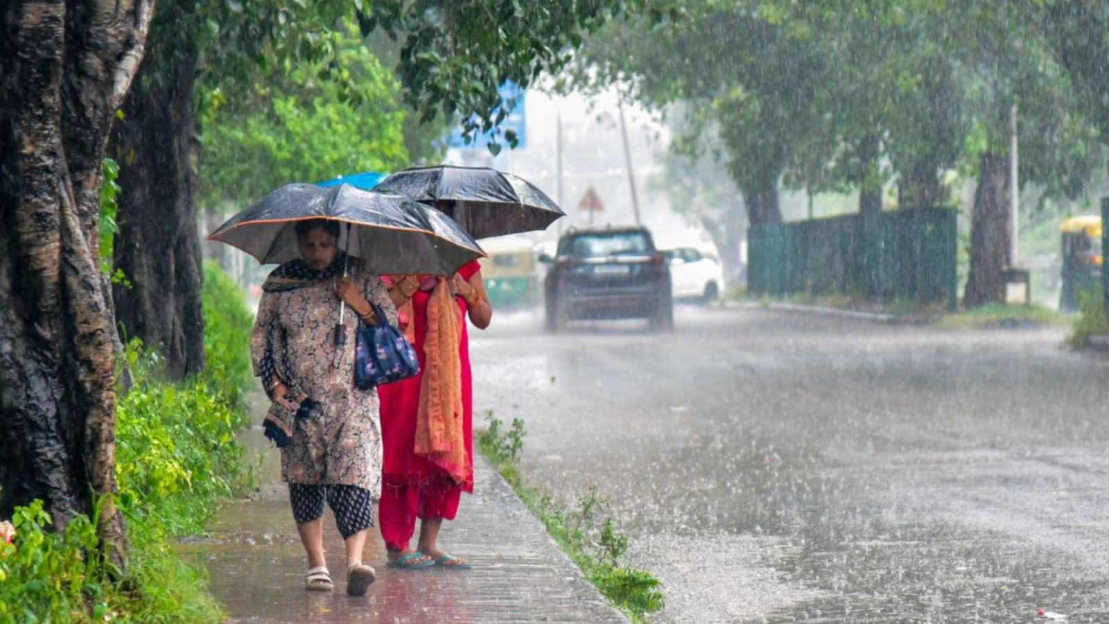 After dry spell, Punjab, Haryana get rain on New Year day | Chandigarh ...