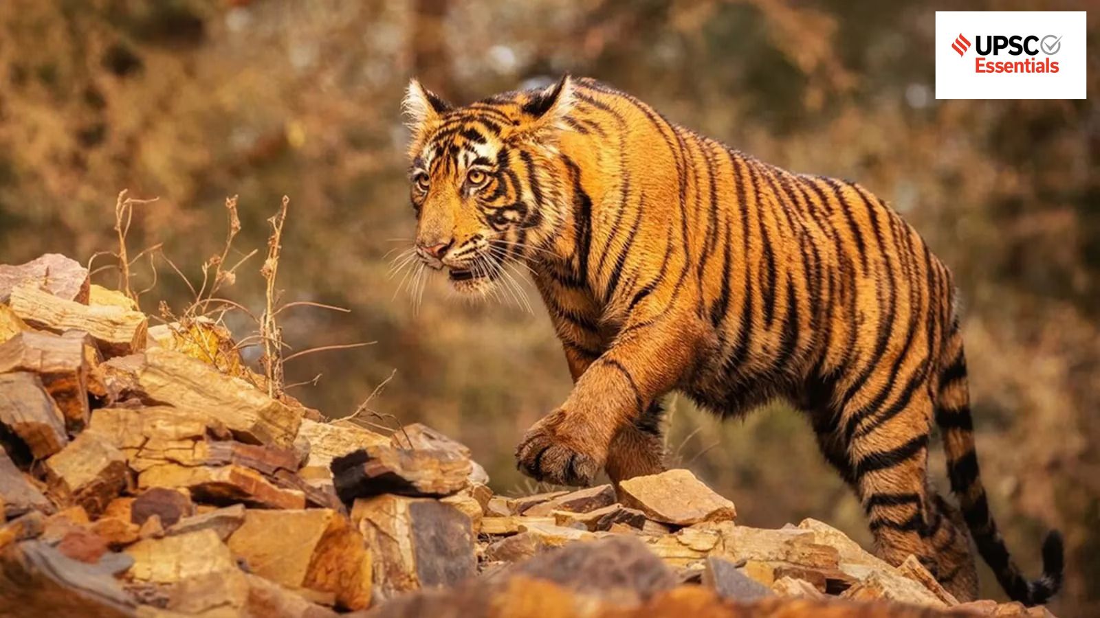 UPSC Essentials | Daily subject-wise quiz : Environment and Geography ...