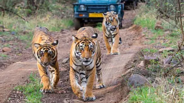 World’s most unique national parks to add to your bucket list ...