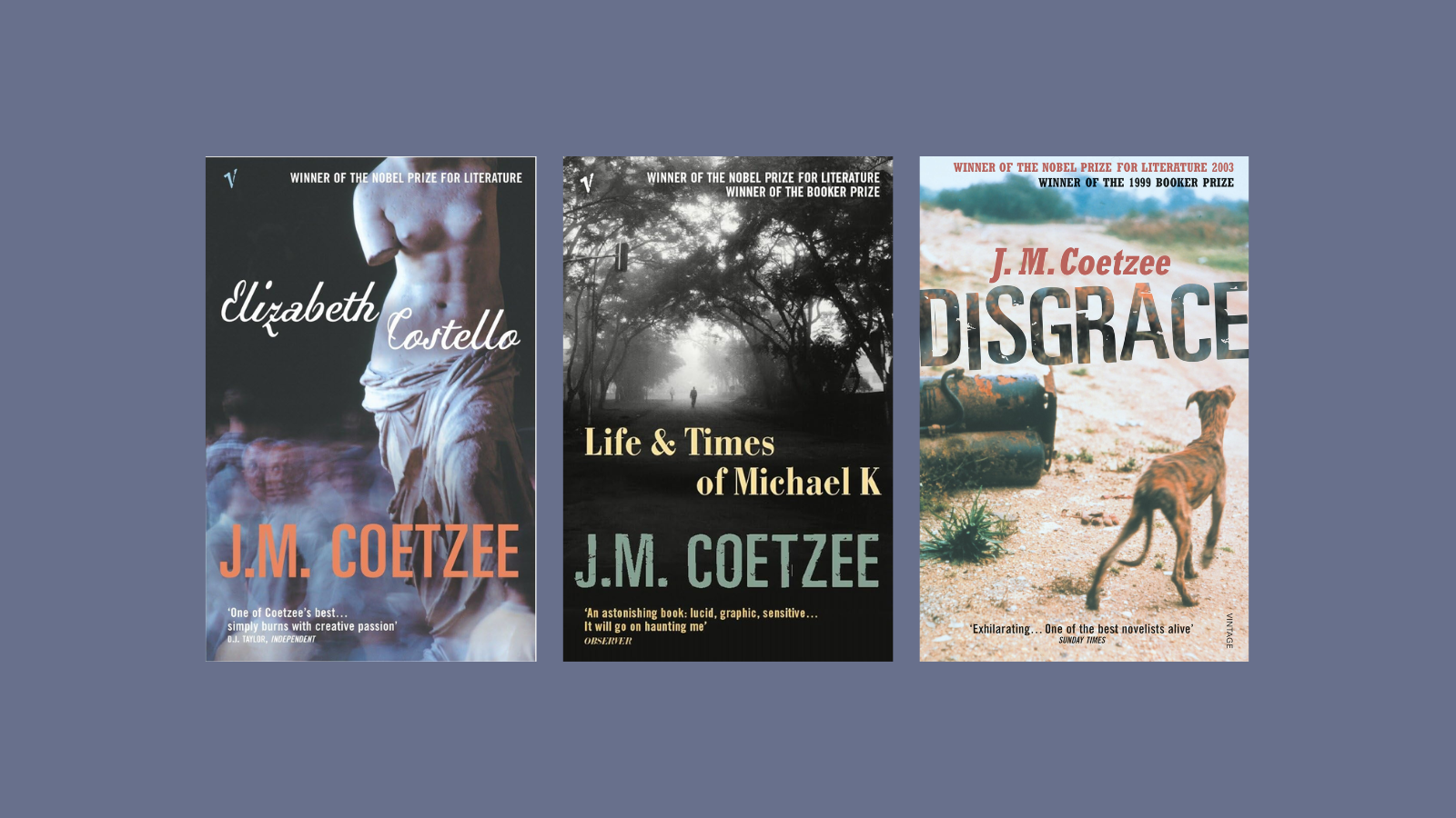 Disgrace Coetzee Analysis