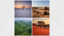 Latest News on Thar Desert: Get Thar Desert News Updates along with ...
