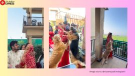 Latest News on Bride: Get Bride News Updates along with Photos, Videos ...