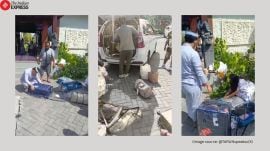 Latest News on Indians: Get Indians News Updates along with Photos ...