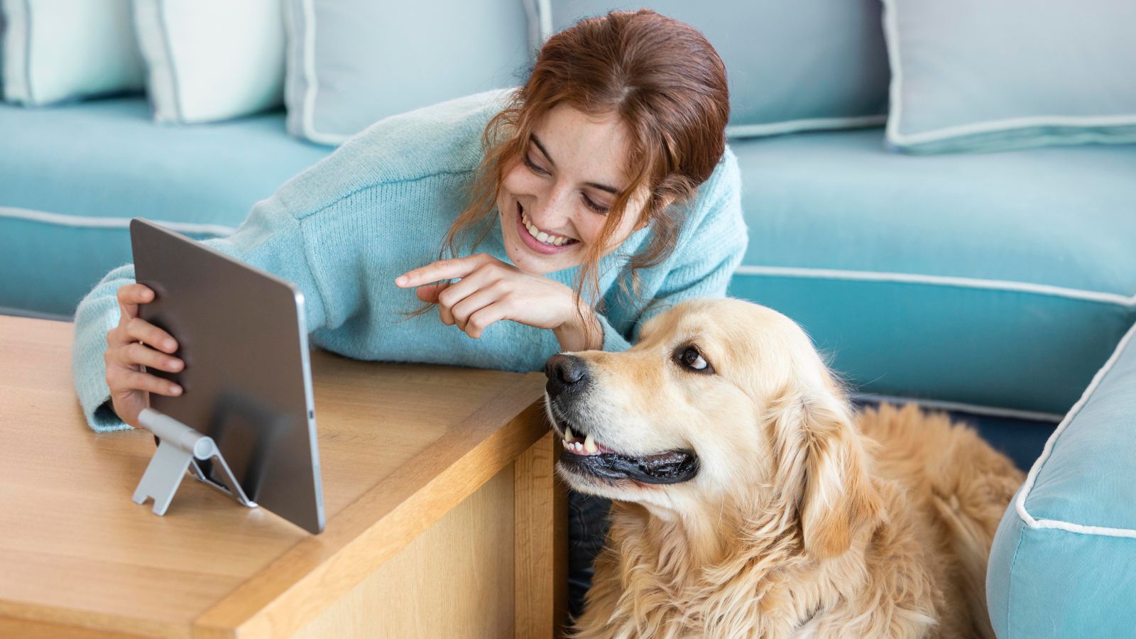 From bark to byte: How startups are reimagining pet parenting ...