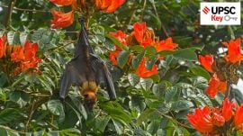 Latest News on Upsc Key: Get Upsc Key News Updates along with Photos ...