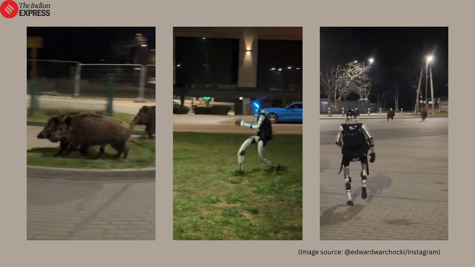 Humanoid Robot Chases Wild Boars in Poland, Sparks Viral Reactions