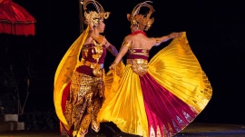 Latest News on Dance: Get Dance News Updates along with Photos, Videos ...