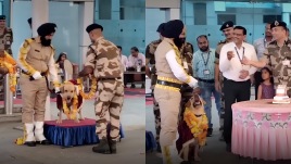 Latest News on Cisf: Get Cisf News Updates along with Photos, Videos ...