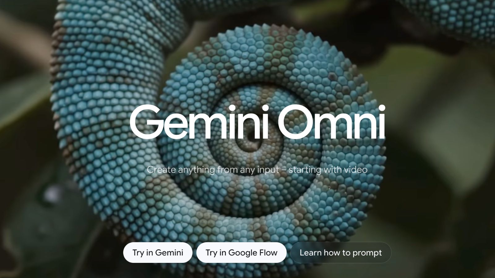 Gemini Omni Flash adds multimodal AI video creation to Google ecosystem ...
