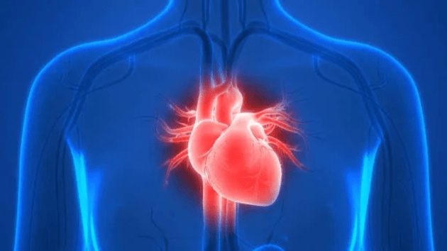 Where did the heart symbol really come from? | Lifestyle Gallery News ...