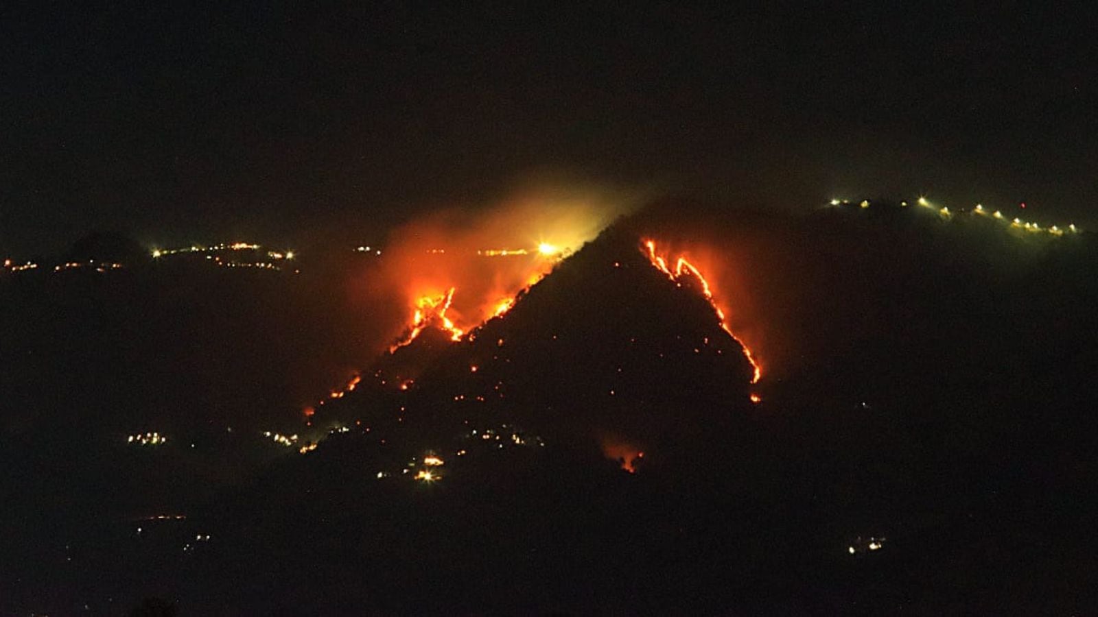 Himachal forest fires surge to 248, Mandi worst hit this summer ...