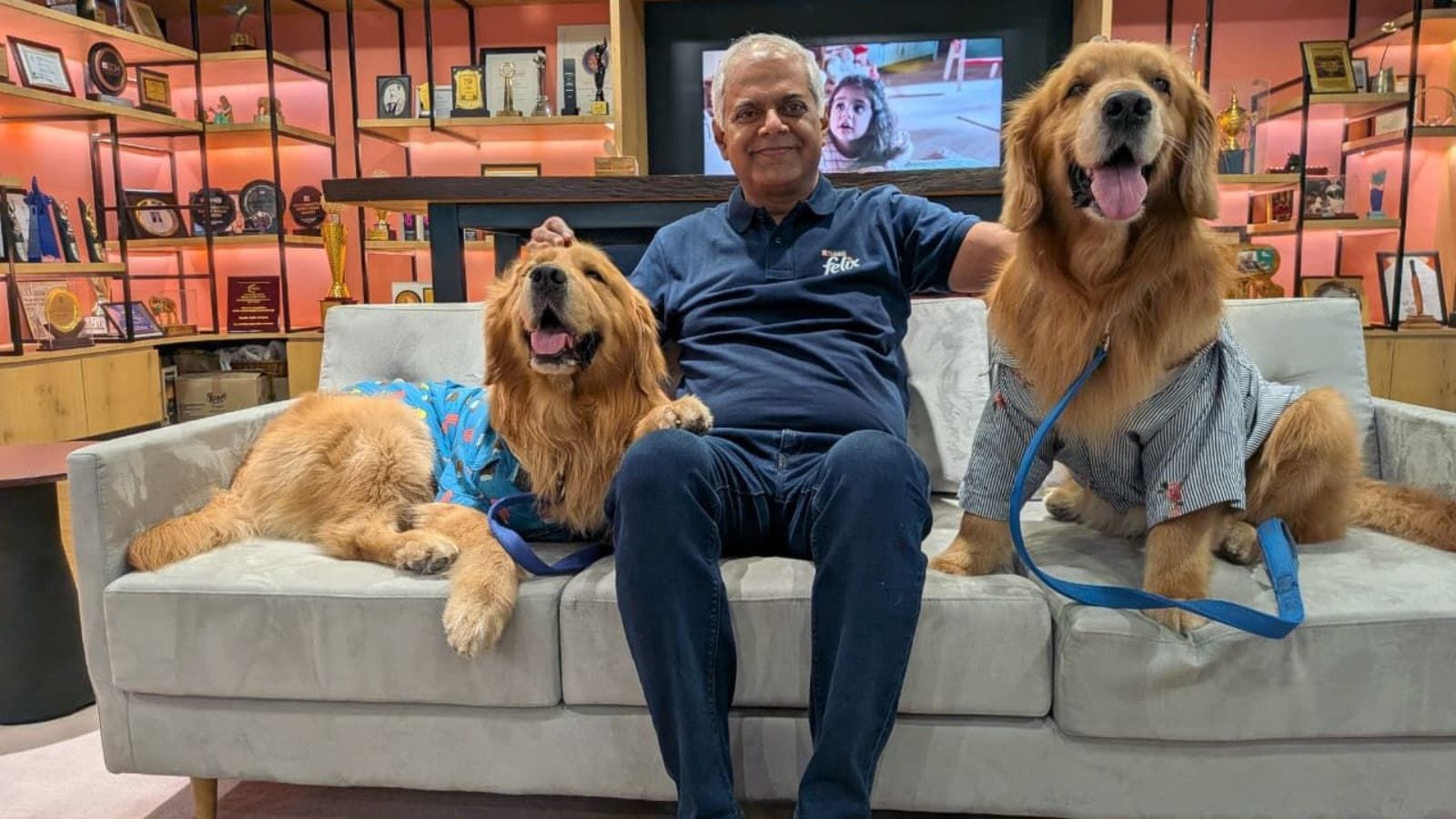 Nestlé India’s ‘Chief Happiness Officers’ Are Two Golden Retrievers