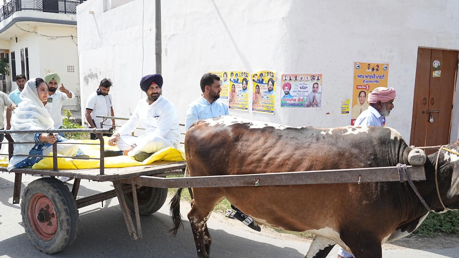 Punjab civic polls: Raja Warring reaches polling booth on bullock cart ...