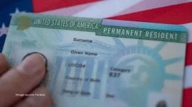 Latest News on Green Card: Get Green Card News Updates along with ...