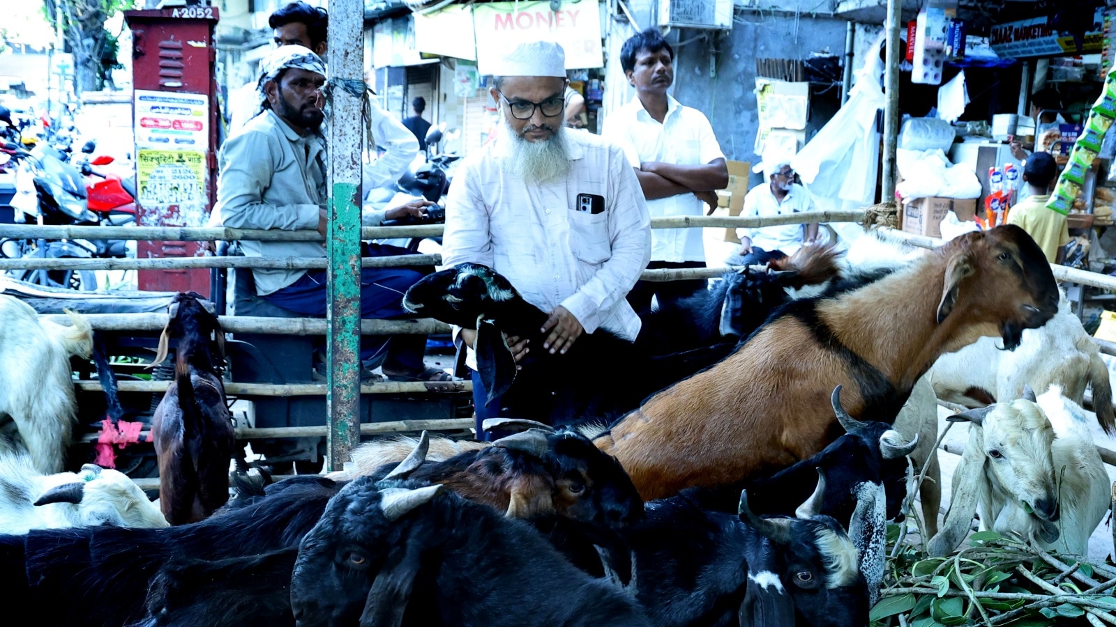 After Mira Road, Bakrid goat disputes spill across Mumbai housing ...
