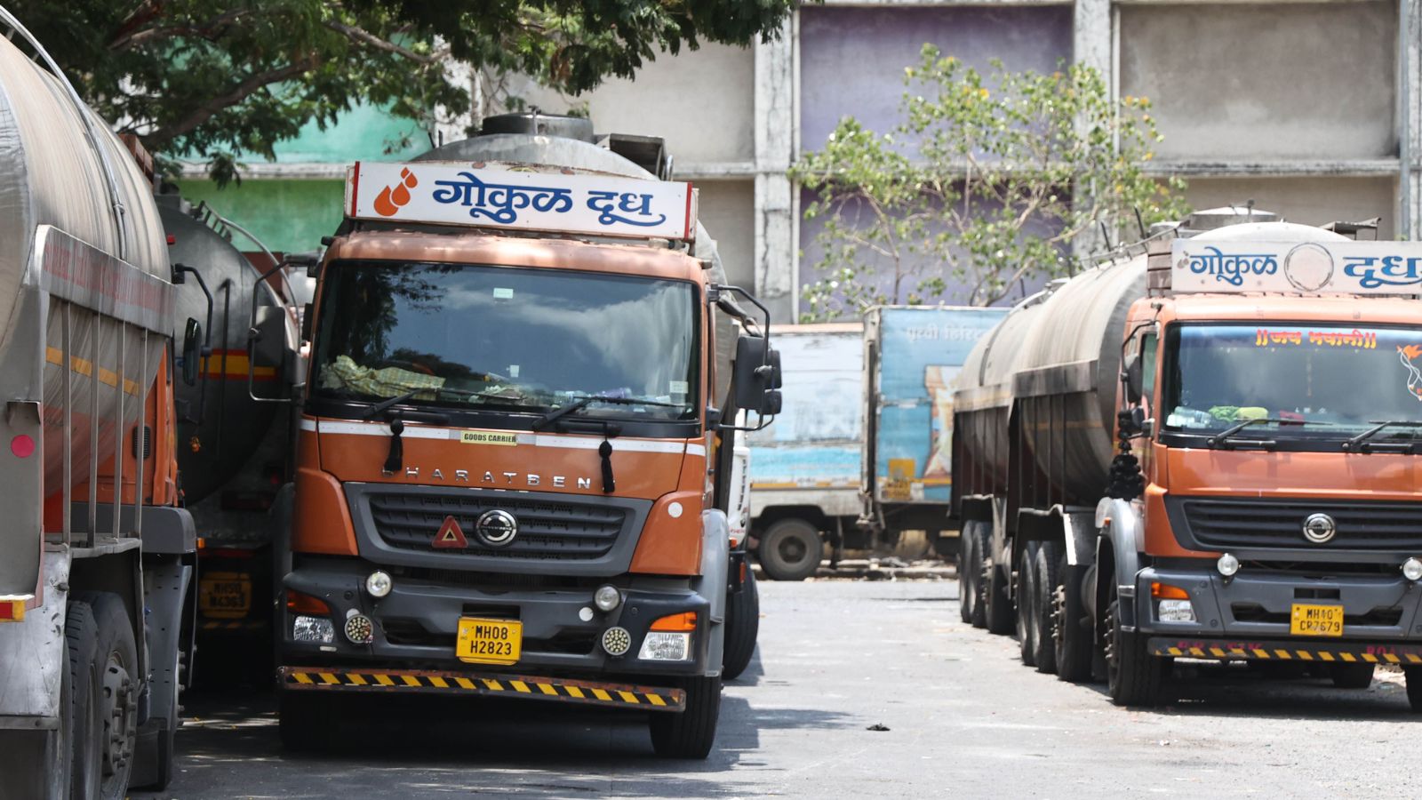 Maharashtra’s biggest cooperative milk dairy gets ready for polls ...