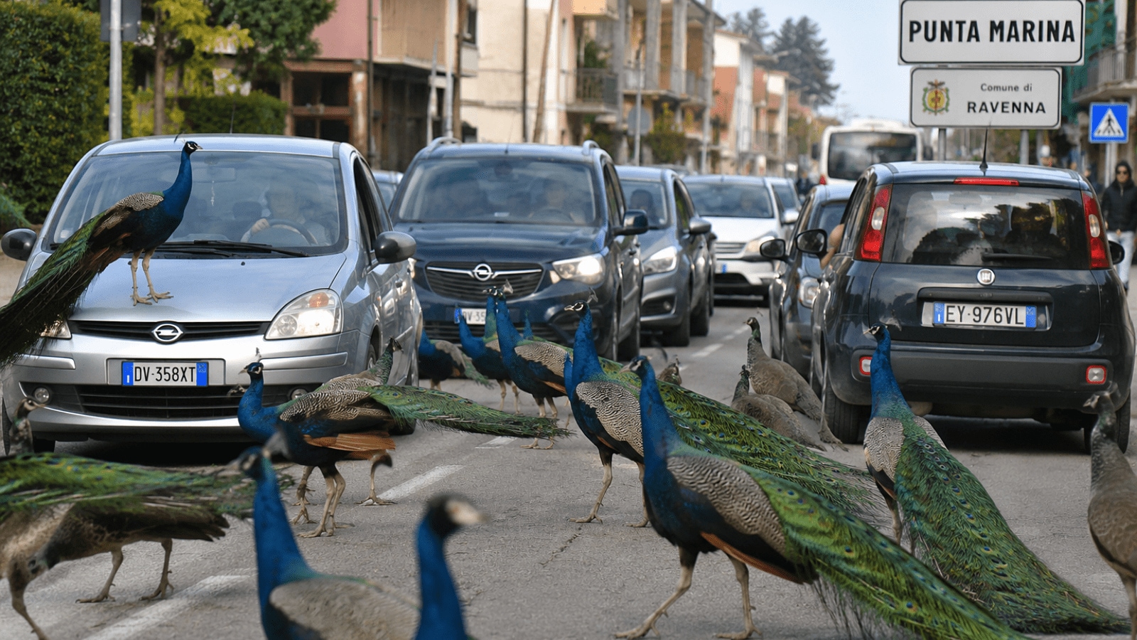 This Italian seaside town is dealing with an unusual problem: Too many ...