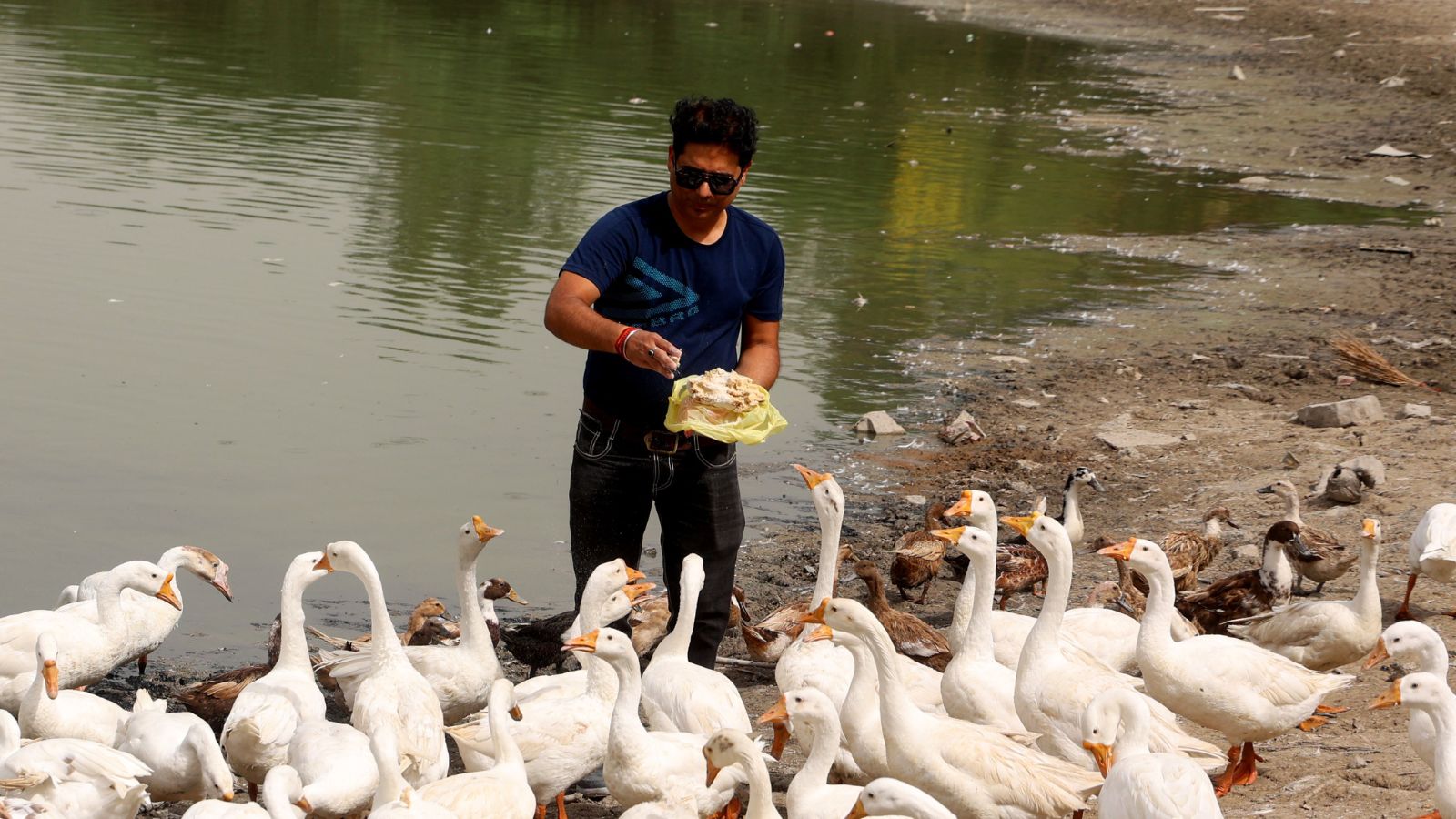 Fish found dead in Sanjay Lake: Treated water supply resumes | Delhi ...
