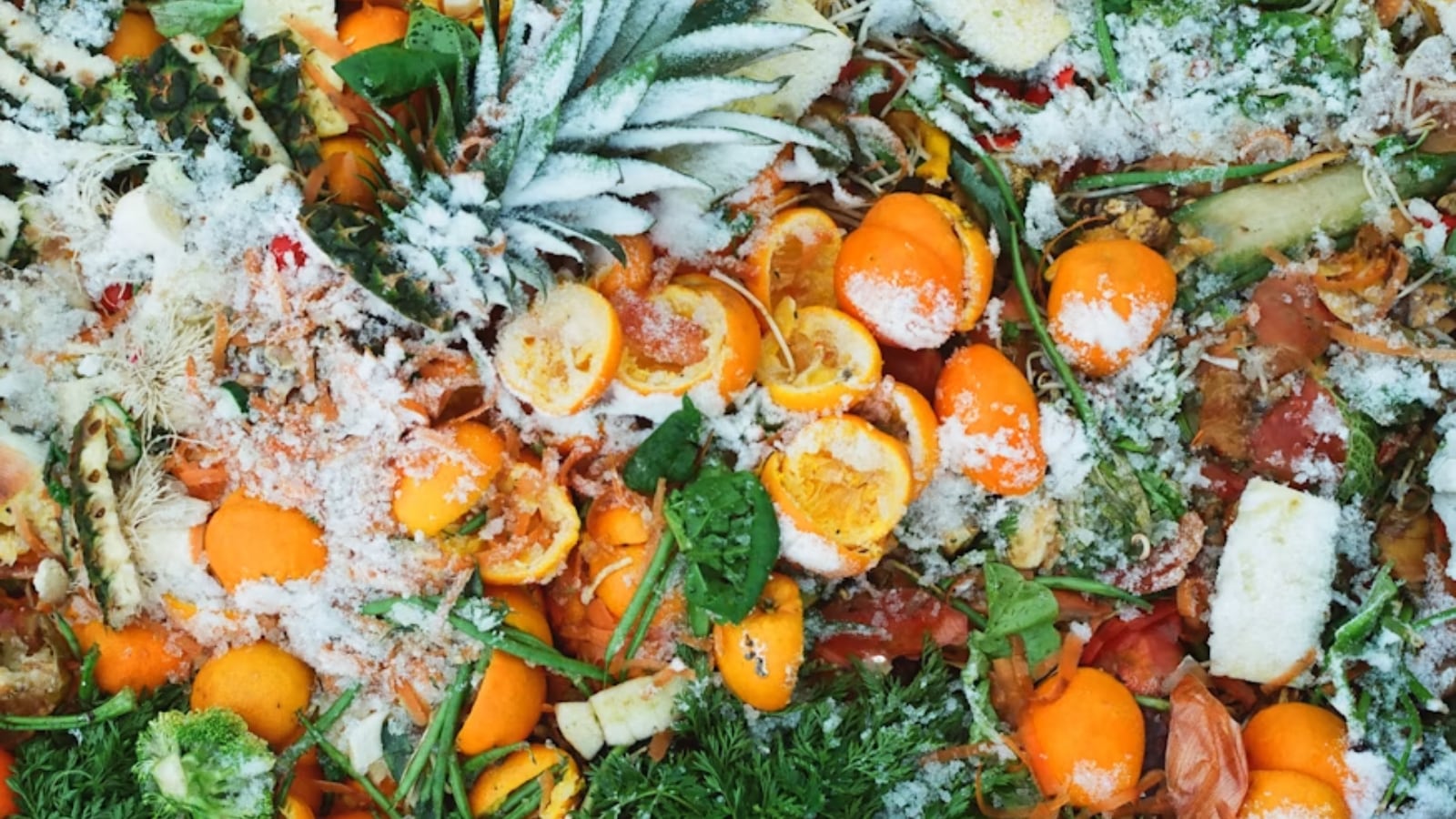 Delicious recipes to make with vegetable scraps | Lifestyle Gallery ...