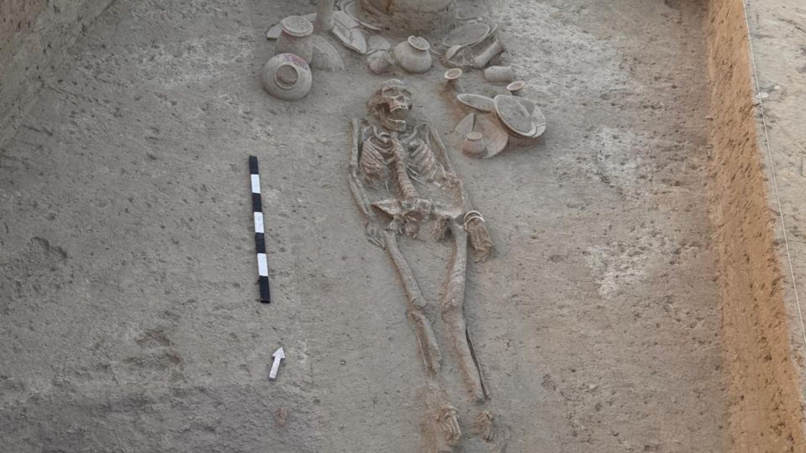 Faces of a lost civilisation: Rakhigarhi skeletons to undergo DNA ...