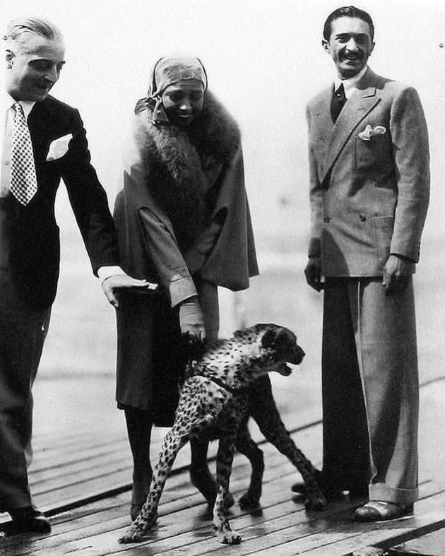 The strangest pets in history | Lifestyle Gallery News - The Indian Express