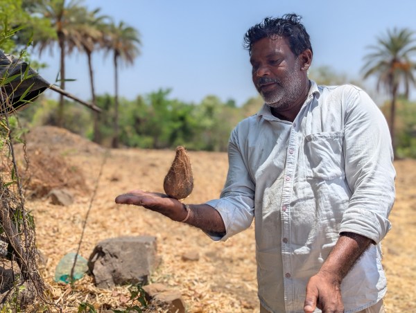 Long walk for water: How scarcity is breaking women’s bodies in ...