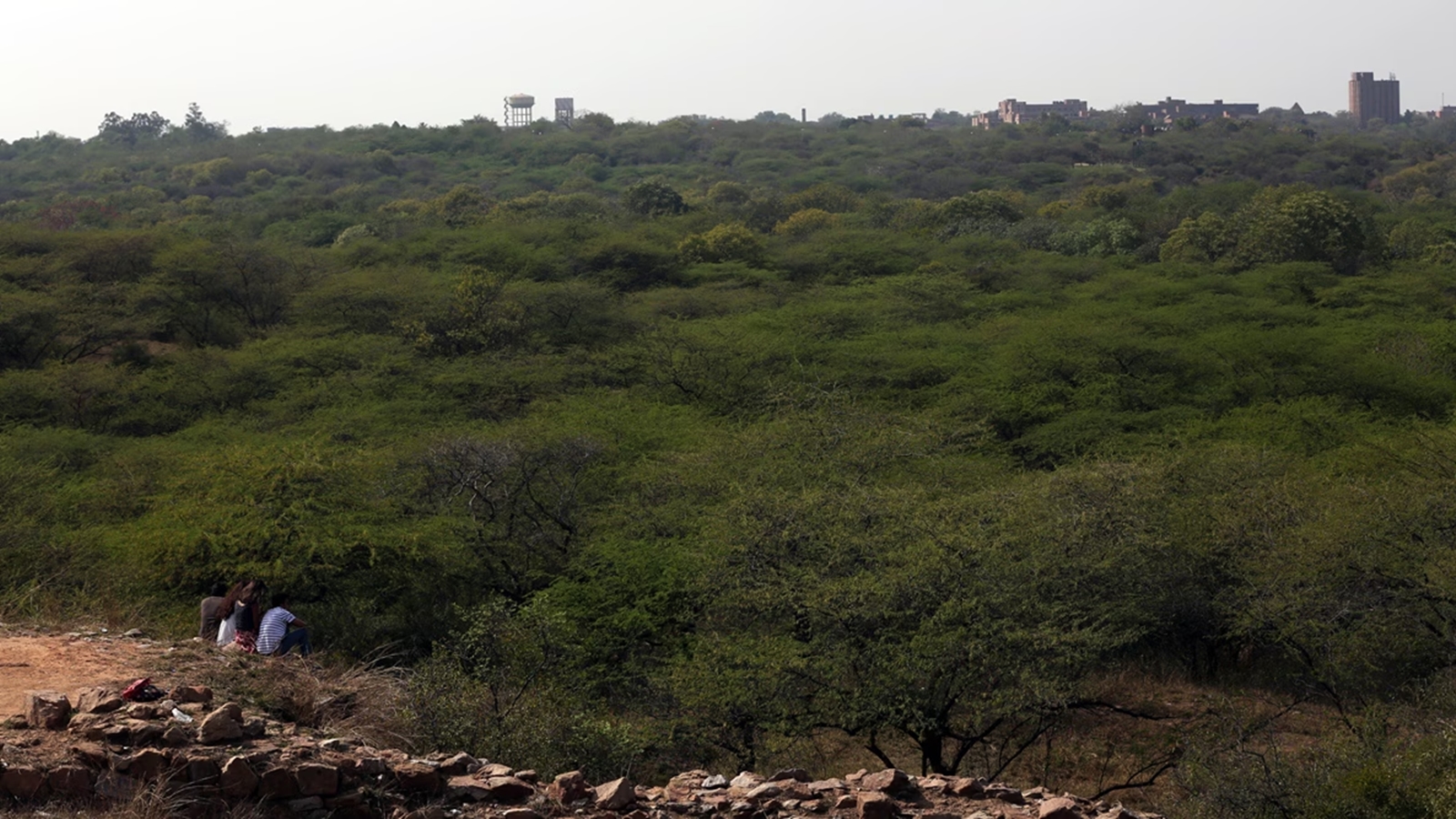 NCR draft Plan 2041 up for approval, conservation zones yet to be ...