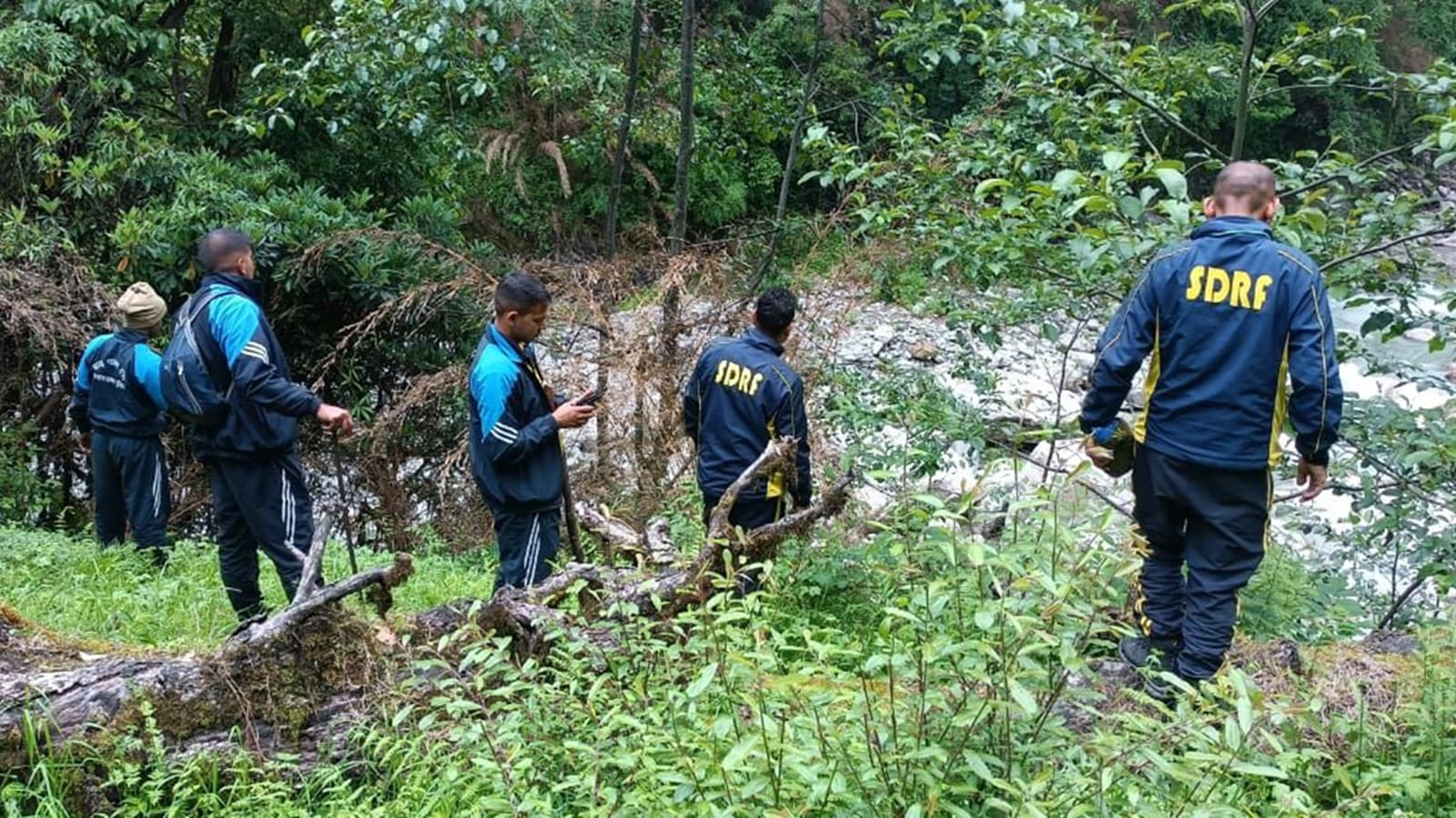 Noida engineer missing near Pindari Glacier: Camera found on riverbank ...