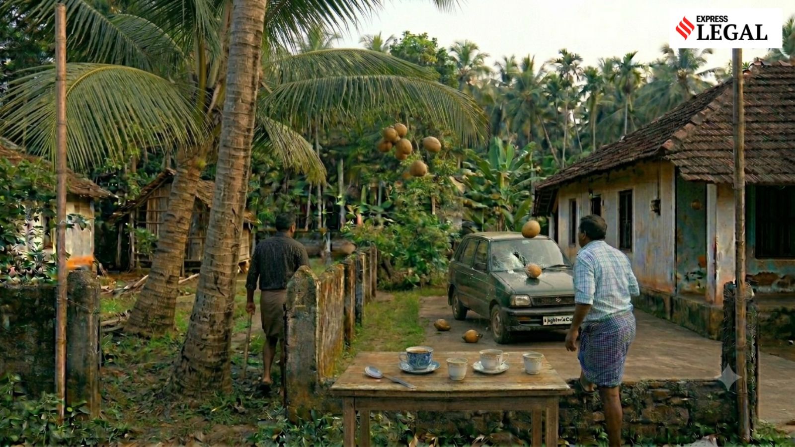 Kerala neighbours take coconut tree battle to high court, told to ...