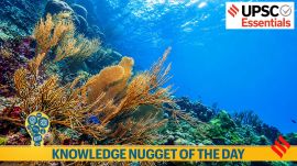 Latest News on Coral Reef: Get Coral Reef News Updates along with ...
