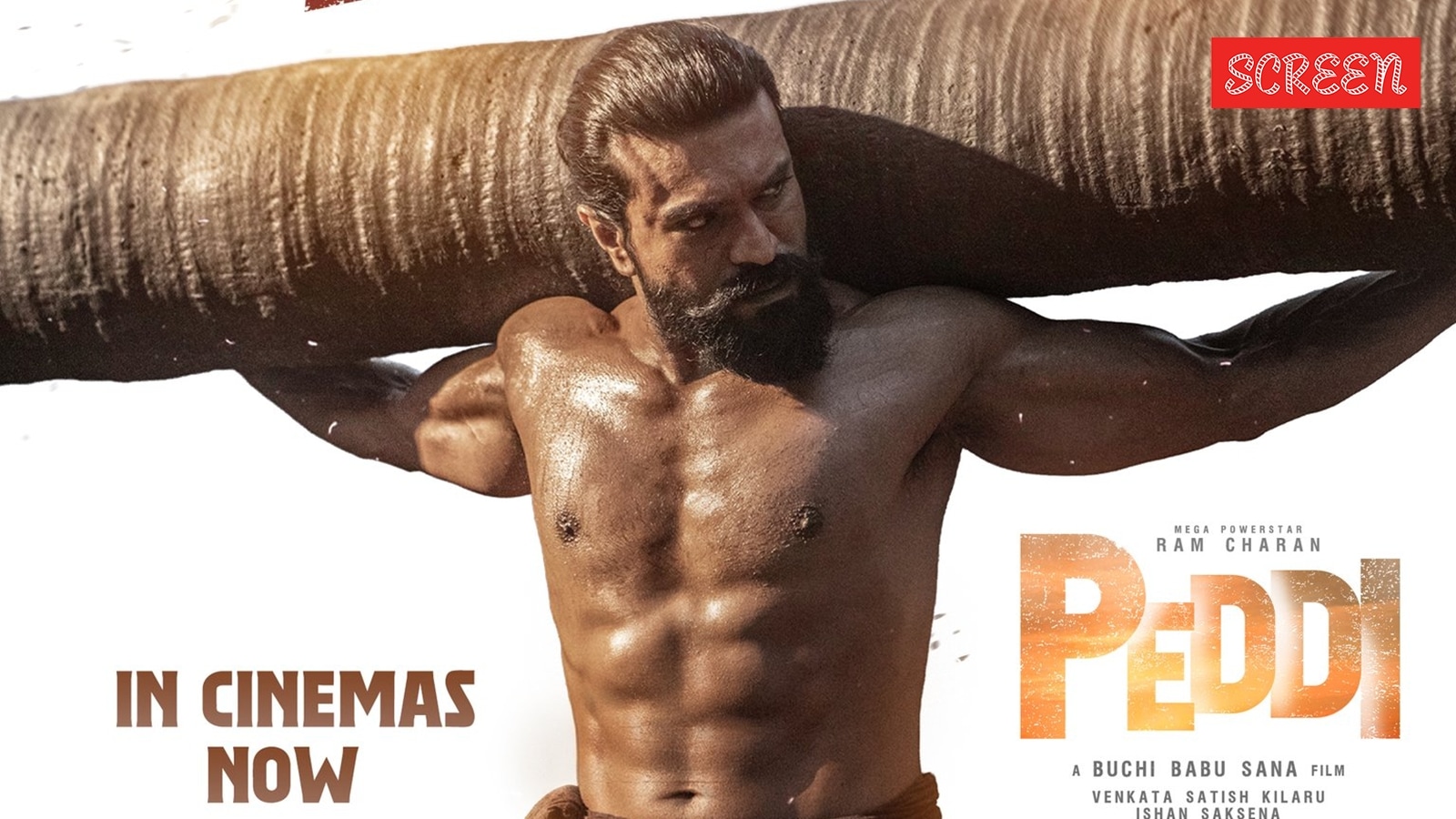 Peddi Box Office Collection Day 3 Worldwide Live Updates: Ram Charan ...