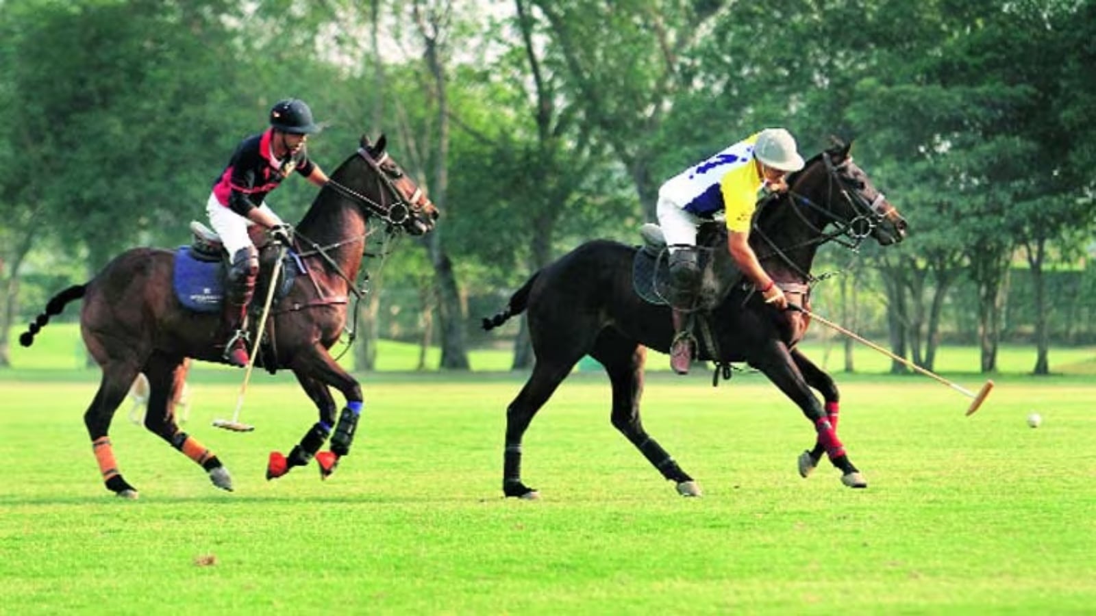 Why Centre wants to take over Jaipur Polo Ground in the heart of ...