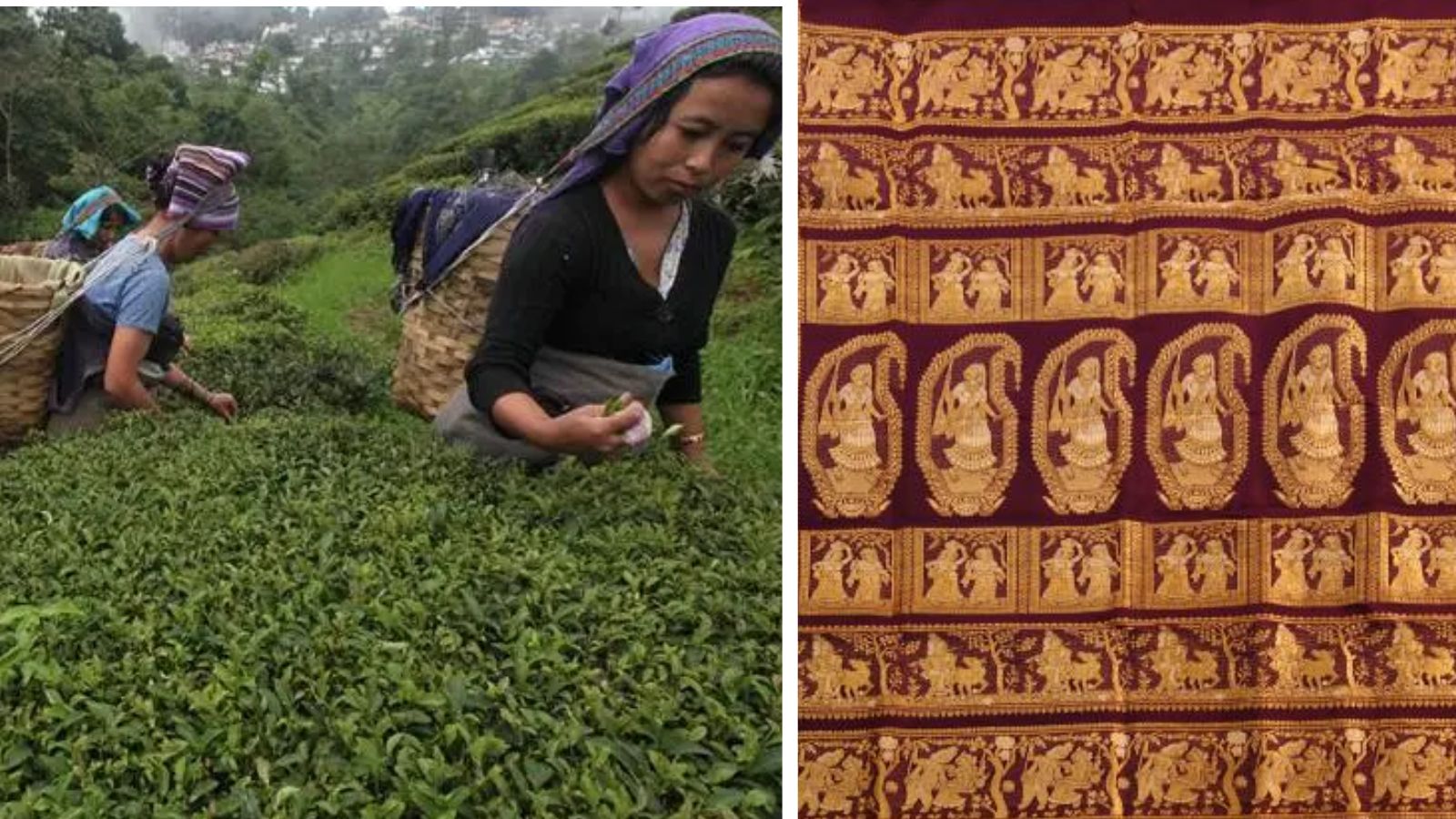 From Darjeeling Tea to Baluchari Saree, West Bengal ranks 3rd in GI ...